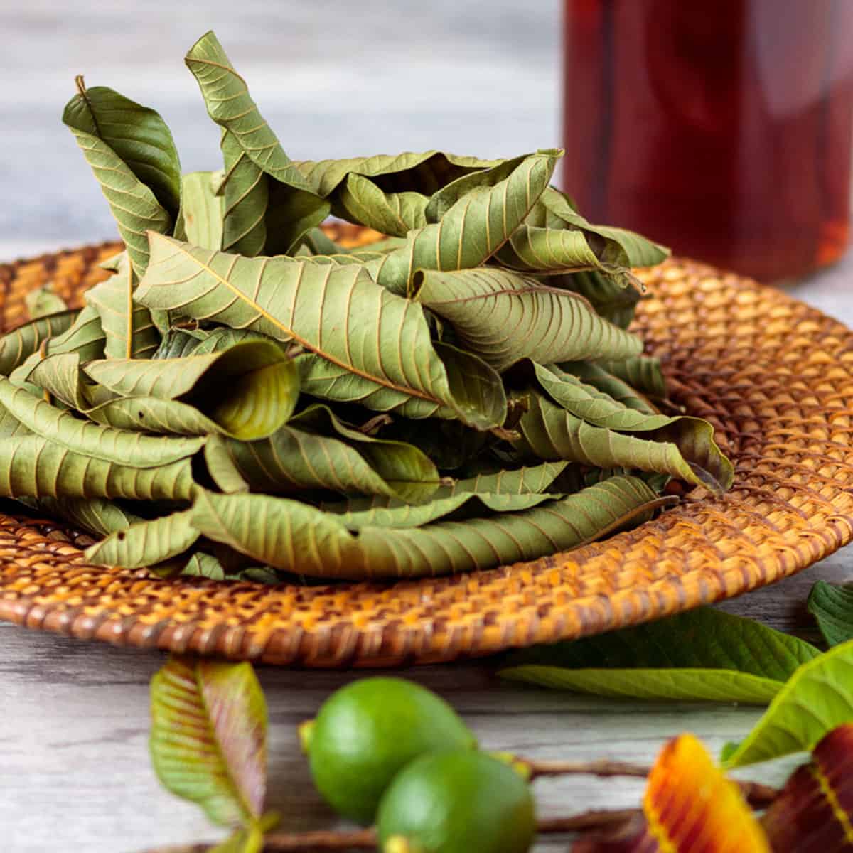 Guava Leaves Tea